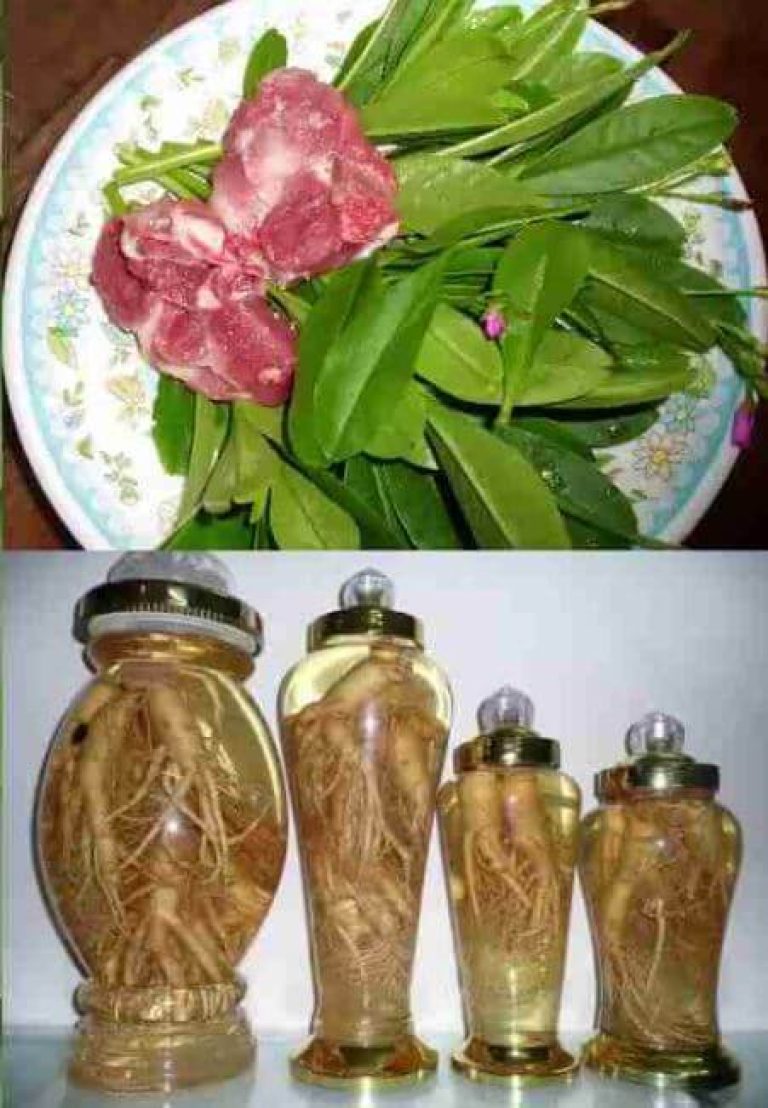 Cây Sâm Đất – Tác dụng chữa bệnh và bài thuốc có cây sâm đất